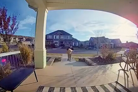 Wireless Video Doorbell Security Camera | Vivint Smart Home