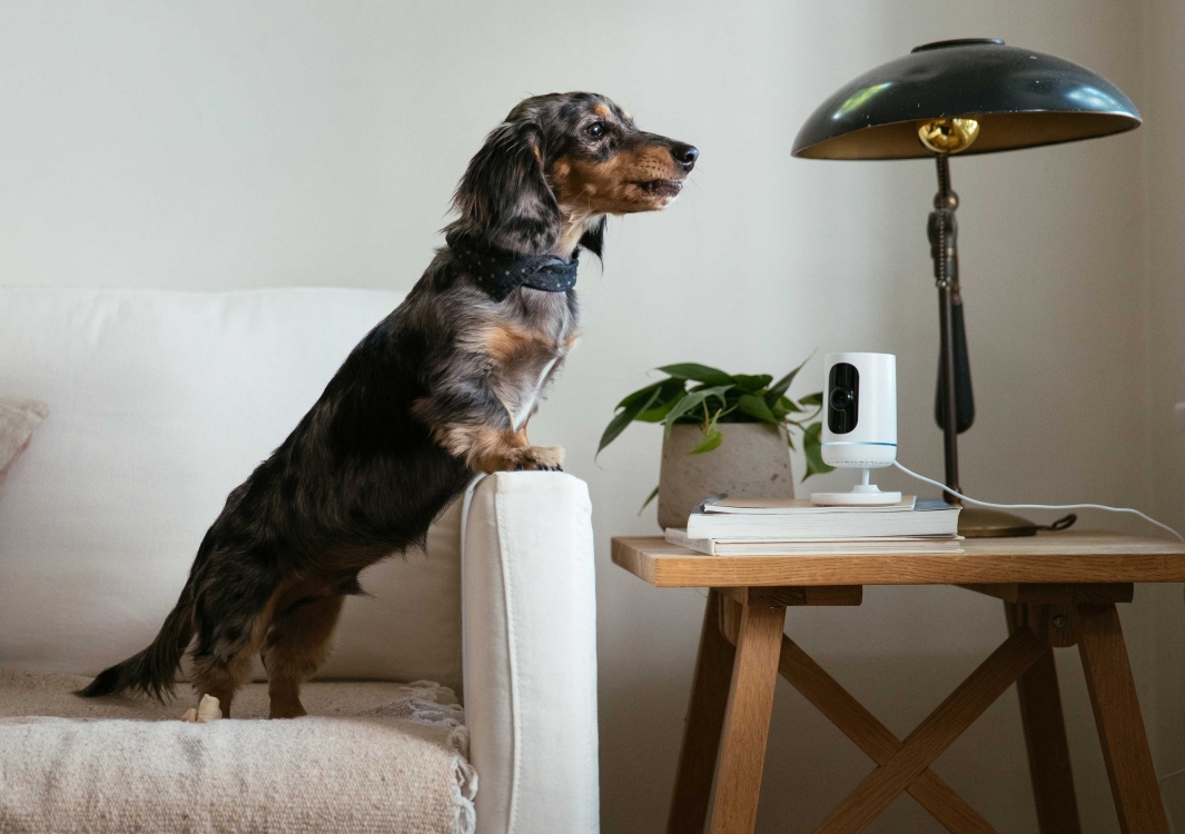 Cameras | Vivint Smart Home